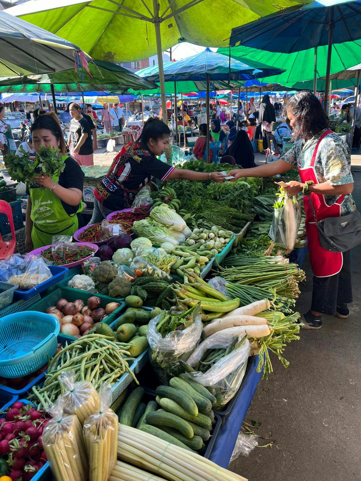 Ferie i Khao Lak i Thailand | Familie Journal