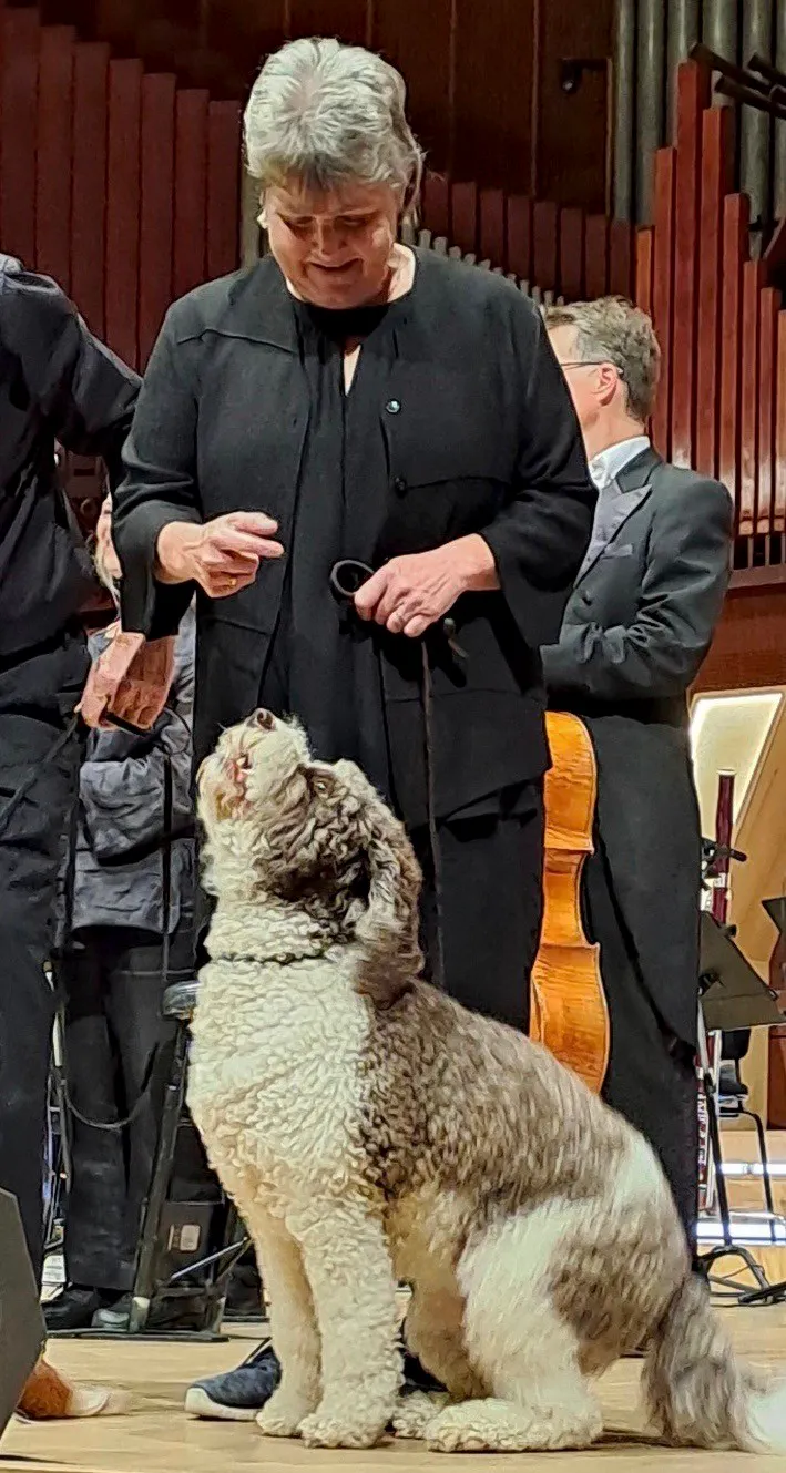 Helles hund er helt særlig: Cookie elsker rampelyset| Familie Journal