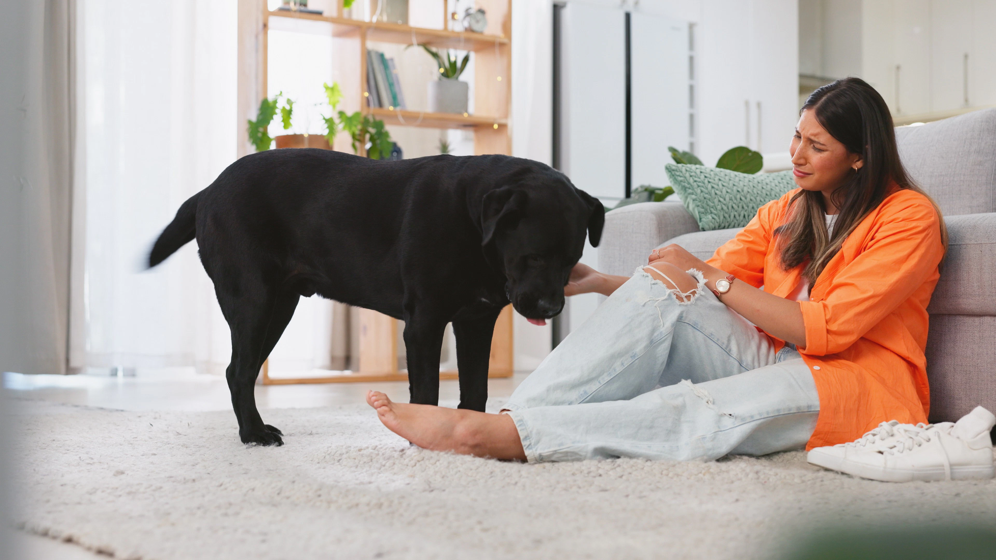 Vi er nødt til at give hunden væk | Familie Journal