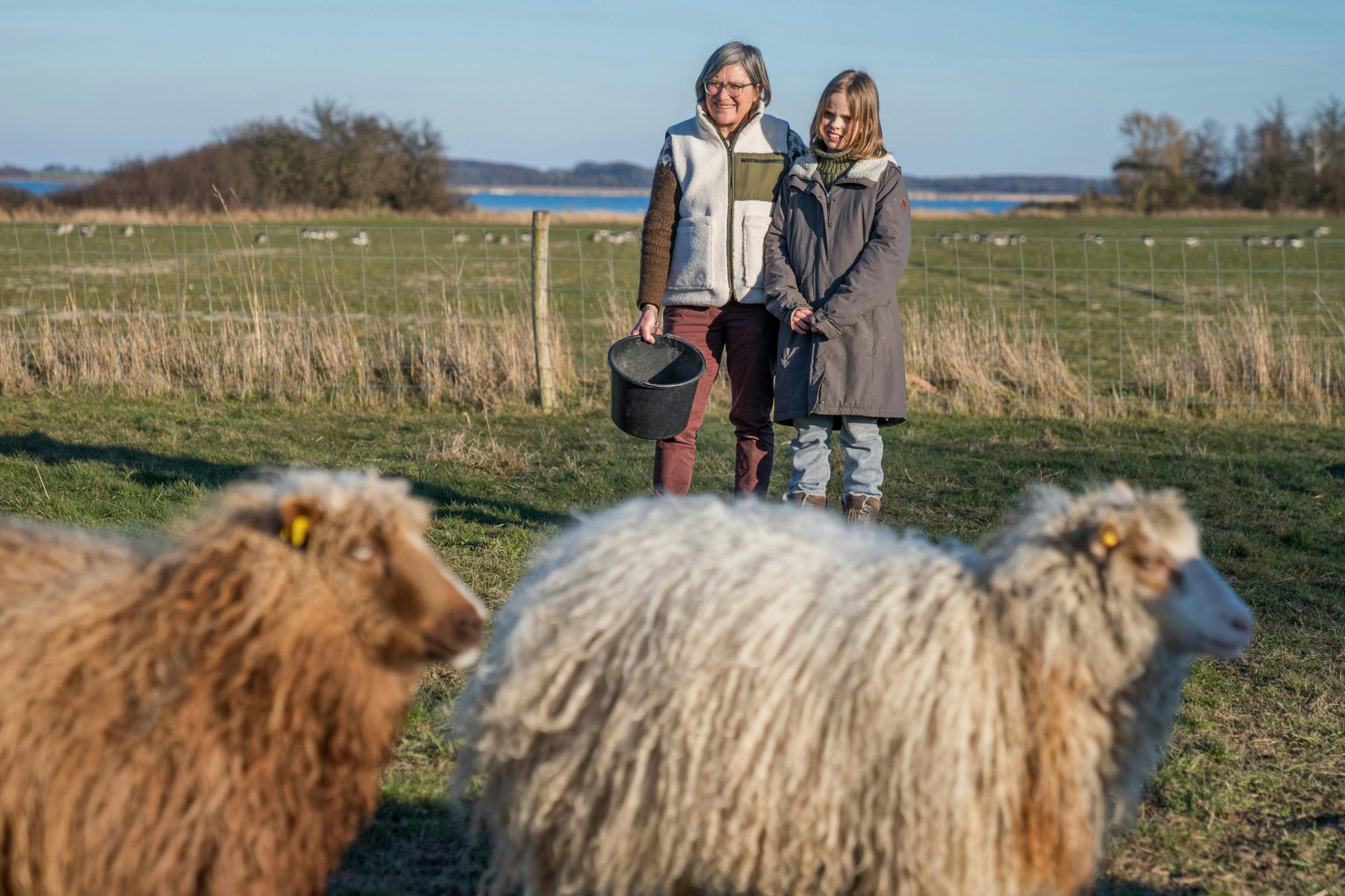 Vi er bedste venner | Familie Journal