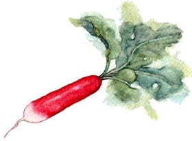 Radiser renser | Familie Journal