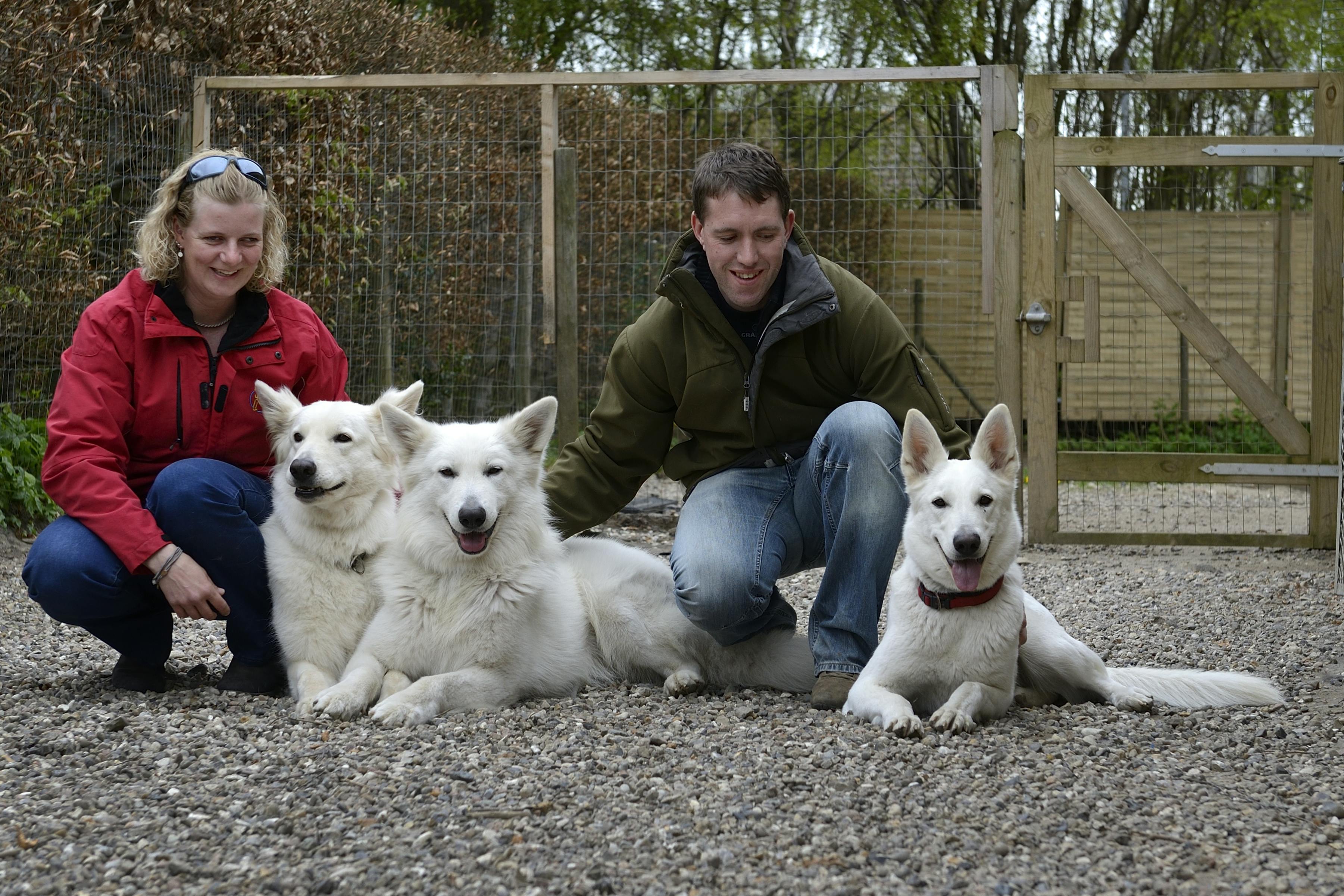 Winnie har mindre end en procents syn og oplærer førerhunde | Familie ...